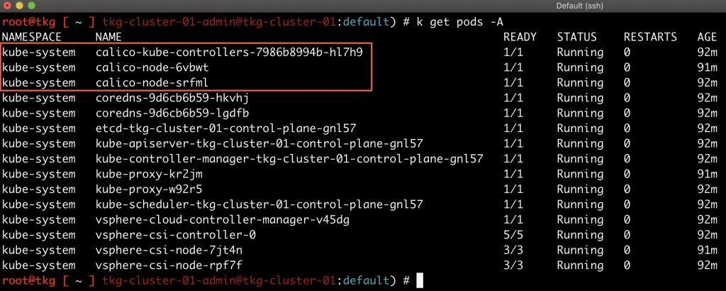 How to deploy Tanzu Kubernetes Grid (TKG) Cluster with Antrea CNI